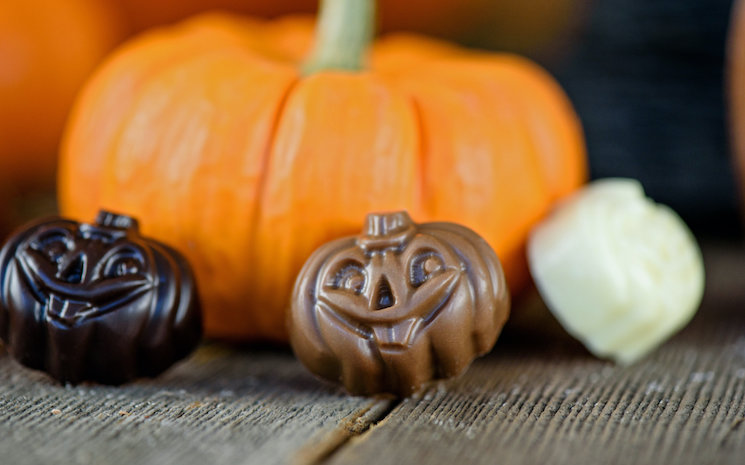 A Busy Chocolate Season Ahead | Fall Fairs and festivals